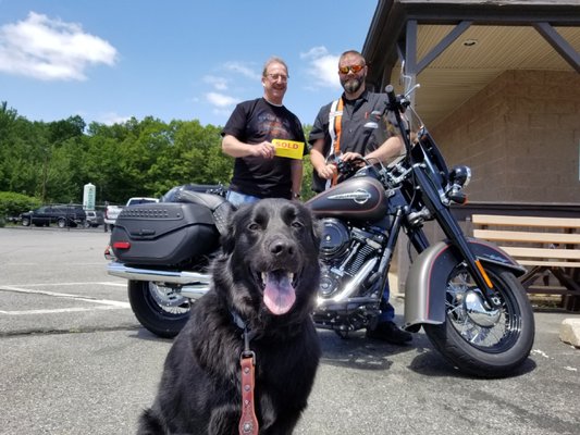 SHELDON’S HARLEY-DAVIDSON - Updated October 2025 - 36 Photos & 51 ...