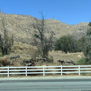 CELEBRATION PARK - 36 Photos & 26 Reviews - 14965 Morgan Ave, Moreno ...