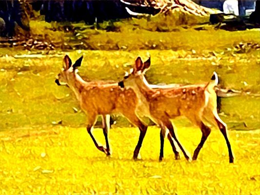 SUNSET VIEW CEMETERY AND MORTUARY - Updated September 2024 - 114 Photos ...