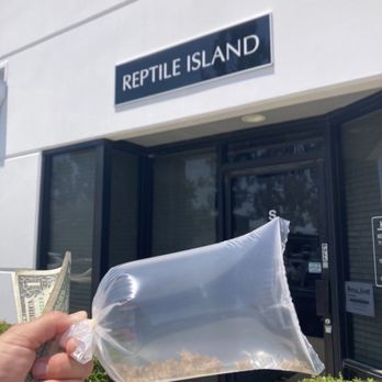 REPTILE ISLAND - Updated January 2025 - 101 Photos & 171 Reviews - 3960 ...