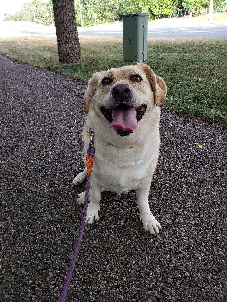 CHASKA VALLEY VETERINARY CLINIC - Updated January 2025 - 23 Reviews ...