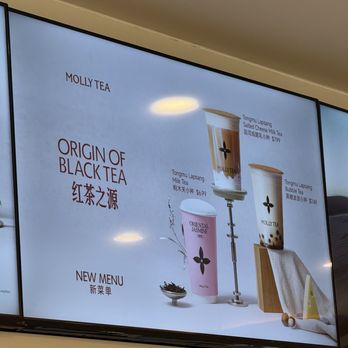 MOLLY TEA - Updated December 2025 - 317 Photos & 415 Reviews - 19110 ...