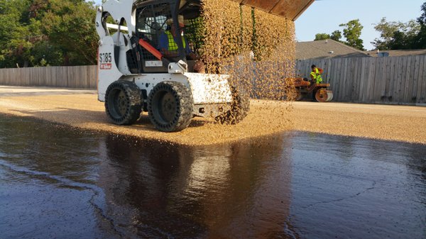 SBF CONSTRUCTION & PAVING - Updated April 2025 - 16 Photos - 3598 S Pea ...