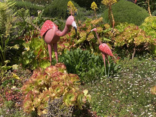 CARMEL HIGHLANDS GENERAL STORE - Updated January 2025 - 58 Photos & 32 ...