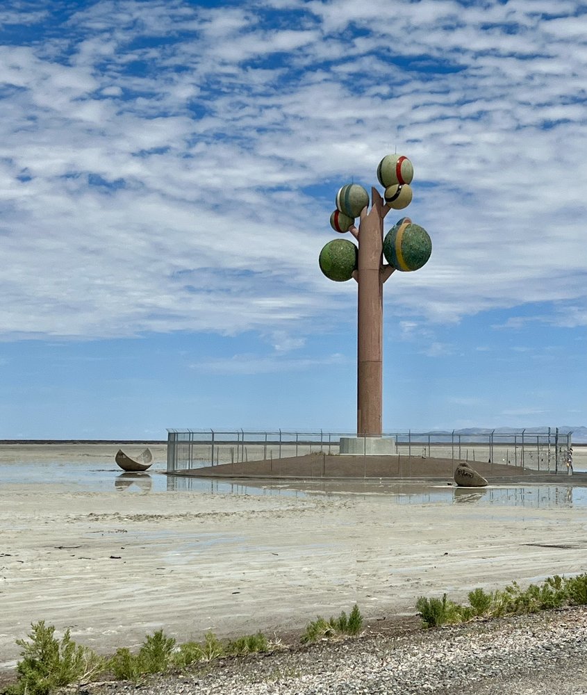 METAPHOR: THE TREE OF UTAH - Updated May 2025 - 27 Photos - Salt Lake ...