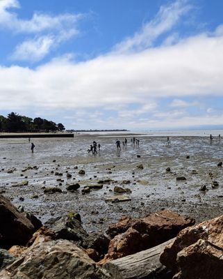 ALAMEDA BEACH - Updated September 2025 - 472 Photos & 161 Reviews ...