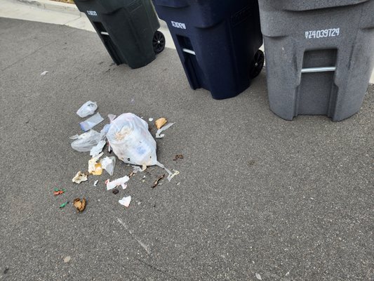 CR&R WASTE SERVICES - Updated December 2025 - 61 Photos & 215 Reviews ...