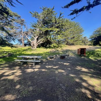 BODEGA DUNES CAMPGROUNDS - Updated October 2025 - 311 Photos & 108 ...