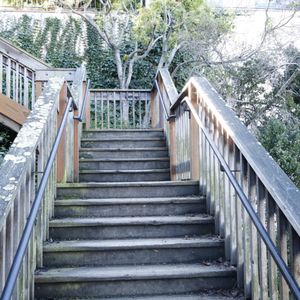FILBERT STEPS - Updated June 2025 - 463 Photos & 250 Reviews - Filbert ...