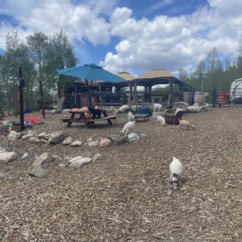 VAIL STABLES - Updated June 2024 - 198 Photos & 131 Reviews - 915A ...