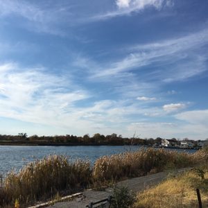 Valley Stream State Park - 69 Photos & 16 Reviews - Parks - Valley ...