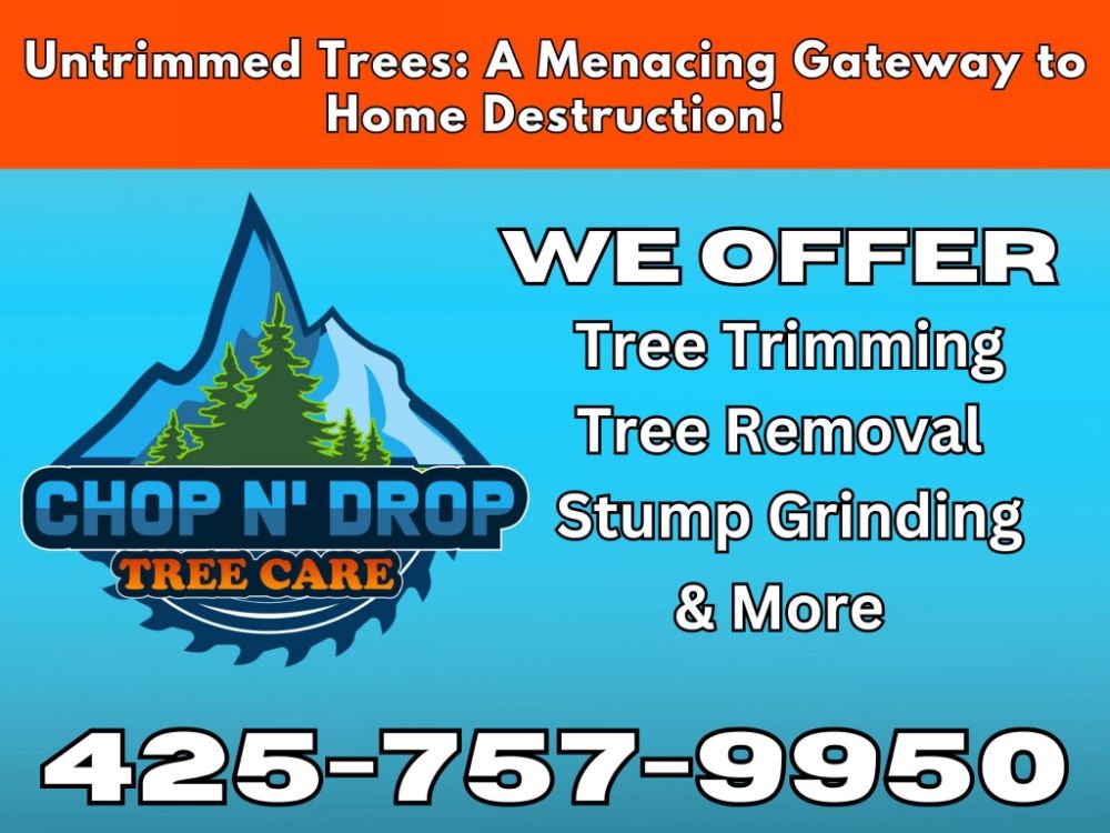 CHOP N’ DROP TREE CARE - Request a Quote - 10 Photos - Auburn ...