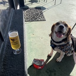 REVE BREWING - Updated December 2025 - 426 Photos & 130 Reviews - 1237 ...