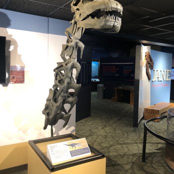 BURPEE MUSEUM OF NATURAL HISTORY - Updated November 2025 - 94 Photos ...