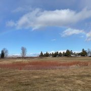 TOIYABE GOLF CLUB - 226 Photos & 43 Reviews - Golf - 19 Lightning W ...