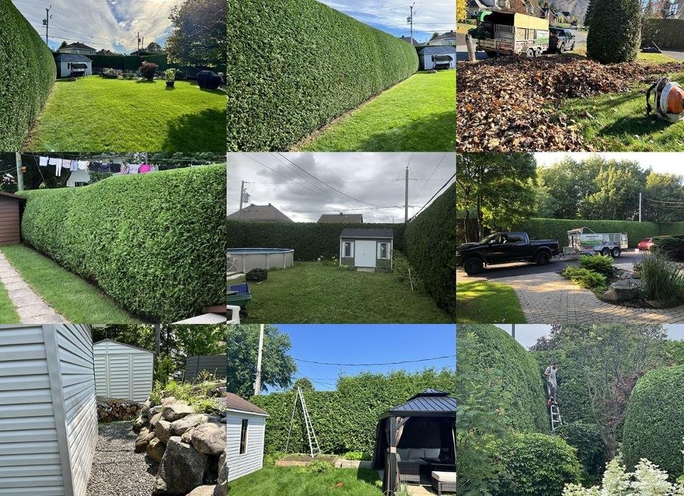 L’HAIE ENTRETIEN - Updated December 2025 - Québec, Quebec - Tree ...