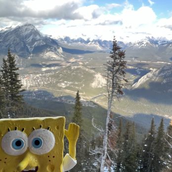 NORTHERN LIGHTS ALPINE KITCHEN - Updated May 2025 - 43 Photos & 30 ...