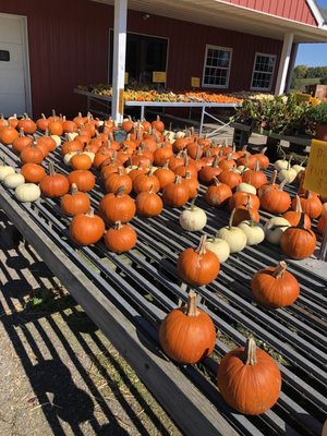 KAPTEYN FARM - Updated December 2025 - 4675 84th St SW, Byron Center ...