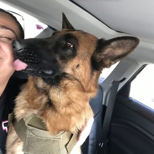 HIGH DESERT ANIMAL CARE HOSPITAL - 38 Photos & 159 Reviews ...