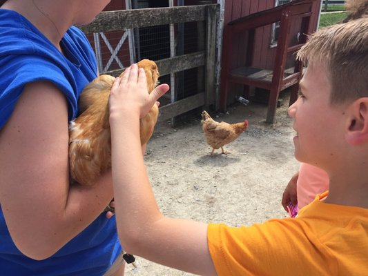 PARKY’S FARM - Updated October 2025 - 20 Photos - 10037 Daly Rd ...