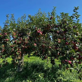 FISHKILL FARMS - Updated May 2024 - 769 Photos & 260 Reviews - 9 ...