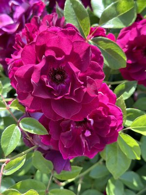 LOUIS RUBIDOUX NATURE CENTER - Updated December 2025 - 14 Photos - 5370 ...