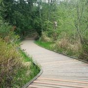 CLARK LAKE PARK - 69 Photos & 30 Reviews - Lakes - 12655-12749 SE 240th ...