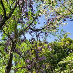 PHS MEADOWBROOK FARM - Updated September 2025 - 70 Photos & 16 Reviews ...