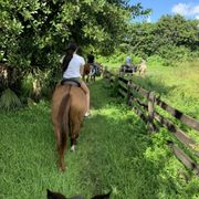 BAR-B-RANCH - 63 Photos & 57 Reviews - Horseback Riding - 3500 SW 121st ...