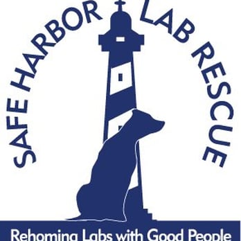 SAFE HARBOR LAB RESCUE - Updated December 2025 - 601 16th St, Golden ...