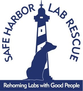 SAFE HARBOR LAB RESCUE - Updated December 2025 - 601 16th St, Golden ...