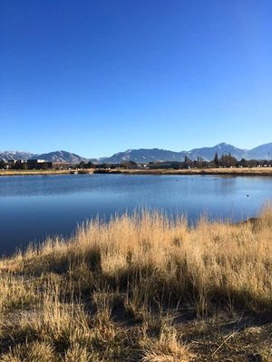 DECKER LAKE PARK - Updated July 2025 - 13 Photos - 1936 Decker Ln, West ...