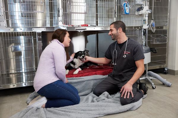 VETERINARY EMERGENCY GROUP - Updated April 2025 - 39 Photos & 62 ...