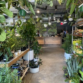 SPROUT HOME - Updated July 2025 - 206 Photos & 227 Reviews - 745 N ...