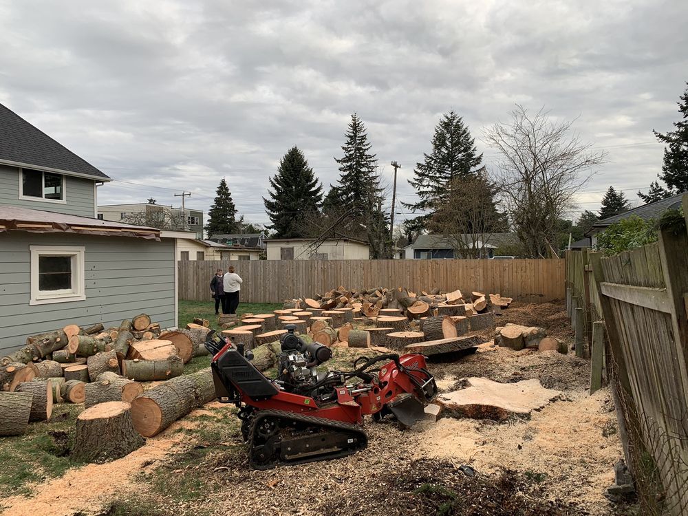 ABLAZE TREE PROS - Updated September 2025 - 15 Photos & 17 Reviews ...