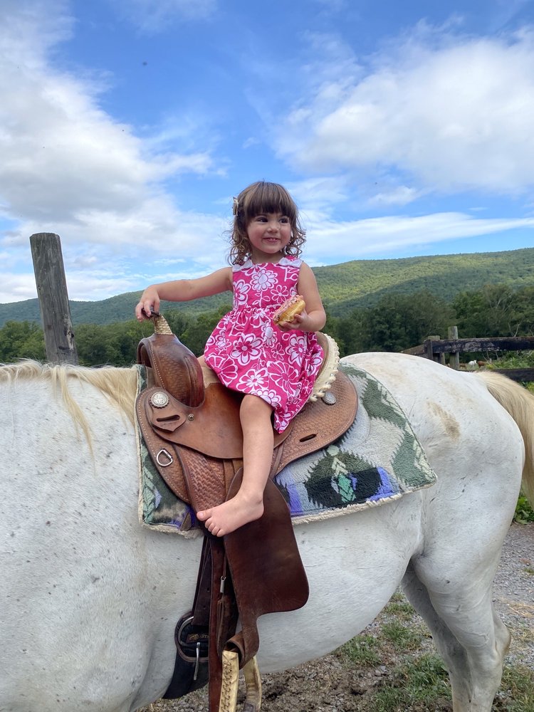 SECRET PASSAGE RANCH - 44 Photos - 321 Spring Mountain Way, Fort Valley ...