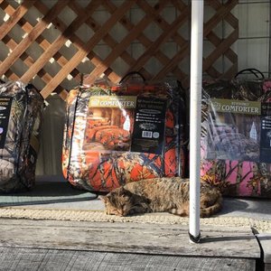 RURAL KING - Updated January 2026 - 190 Cumberland Sq, Crossville ...