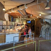 SHIPWRECK REEF CAFE - 147 Photos & 133 Reviews - Cafes - 500 Sea World ...