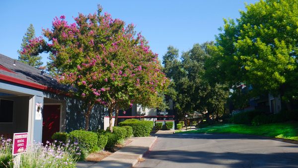 SUNRISE WOOD APARTMENTS - Updated August 2025 - 12 Reviews - 7849 ...