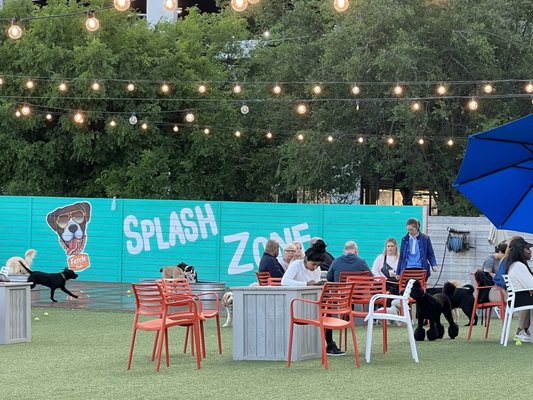 FETCH PARK - Updated August 2025 - 80 Photos & 19 Reviews - 309 ...