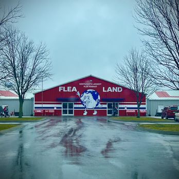 FLEA LAND - Updated October 2025 - 48 Photos & 16 Reviews - 1100 Three ...