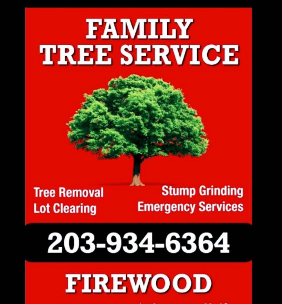 FAMILY TREE SERVICE - Updated August 2025 - 18 Photos - 69 Highview Ave ...
