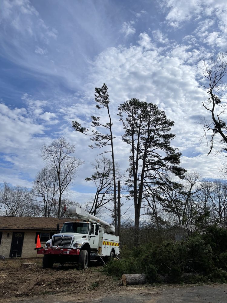 TIMBER CREEK DEVELOPMENT - Updated April 2024 - Request Consultation ...