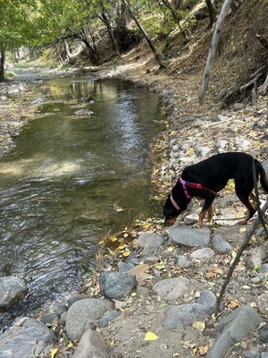 RIVERVIEW RV PARK - Updated December 2025 - 27 Photos - 640 Sudderth Dr ...