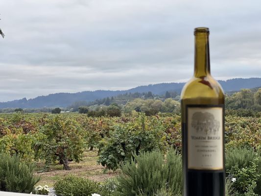 YOAKIM BRIDGE WINERY - 26 Photos & 42 Reviews - 7209 Dry Creek Rd ...