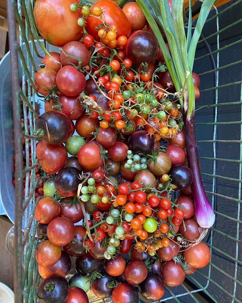 HELVETIA STATION - Updated August 2025 - 21 Photos - 10242 NW Helvetia ...