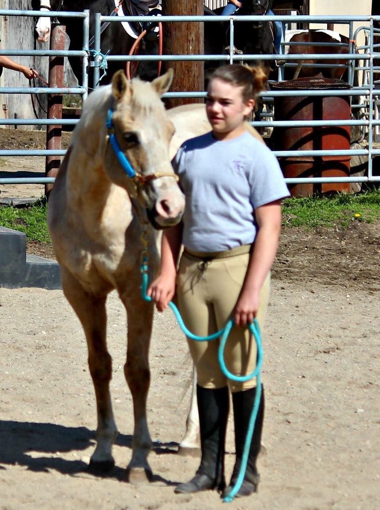 EDINGER FARM - Updated July 2025 - 18 Photos - 42 Fairfield St ...