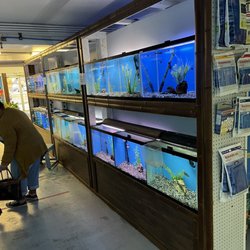 Best Fish Stores Near Me - December 2025: Find Nearby Fish Stores ...