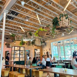 LITTLE REY - Updated October 2025 - 681 Photos & 530 Reviews - 1878 ...