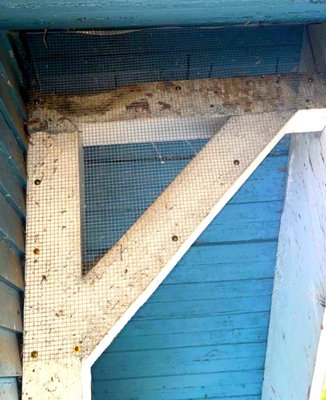 CAMPBELL NATURAL PEST CONTROL - Updated July 2024 - 25 Photos & 57 Reviews - 3308 N Missouri Ave ...